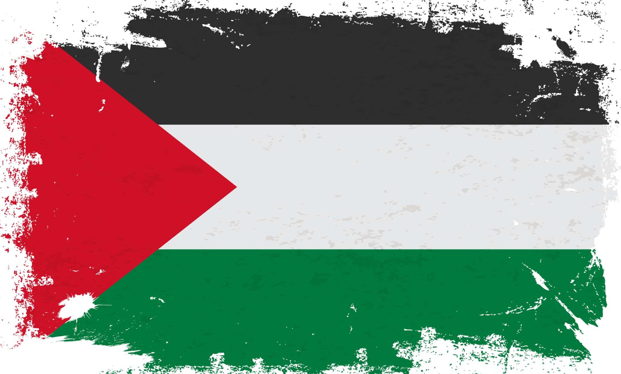 Palestinians DED Grossman Young Hammond Palestinians DED Grossman Young Hammond